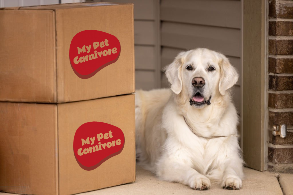 Free Shipping Bundles – My Pet Carnivore