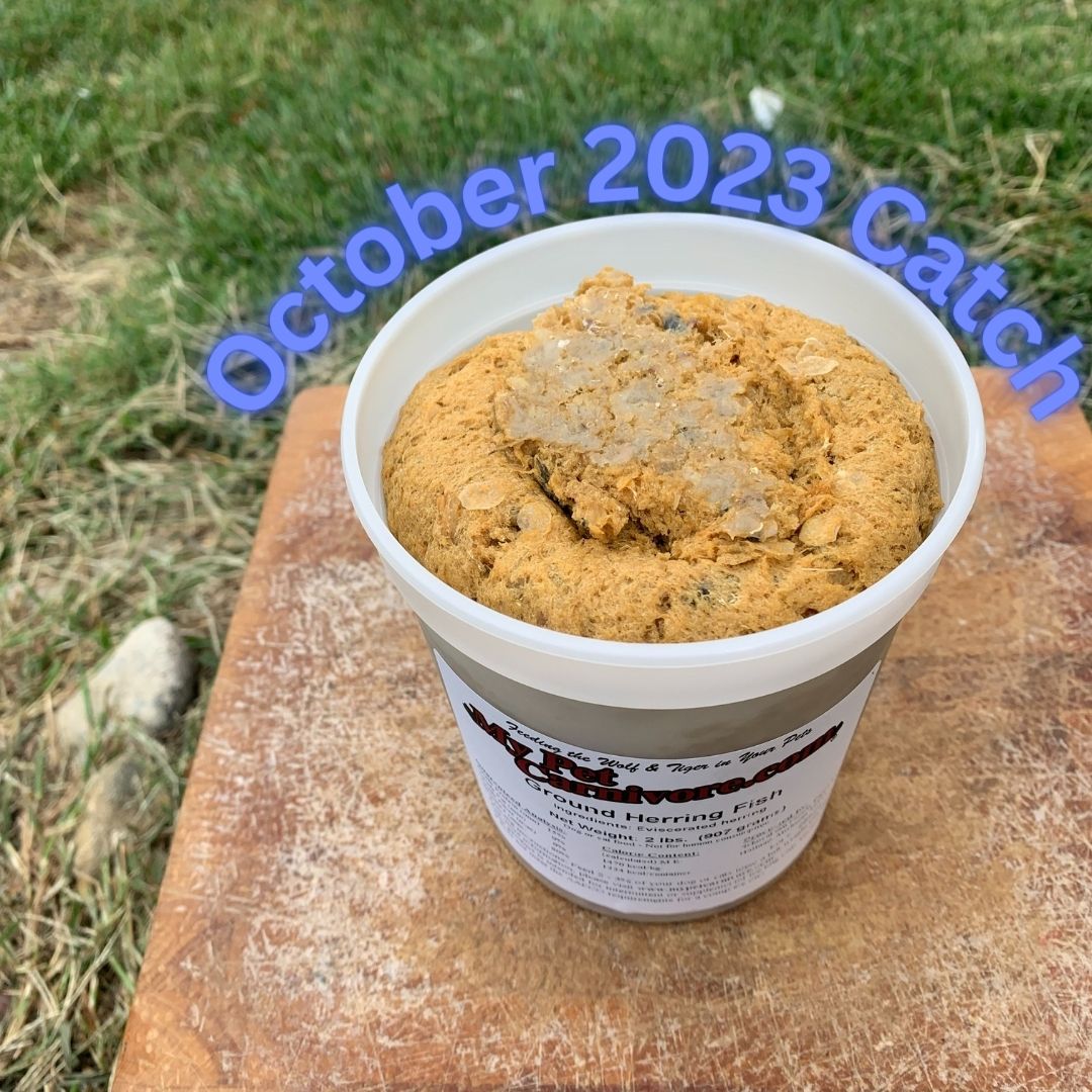 [CLEARANCE] Ground Lake Herring Fish-2 LB. (2023 Catch) – My Pet Carnivore