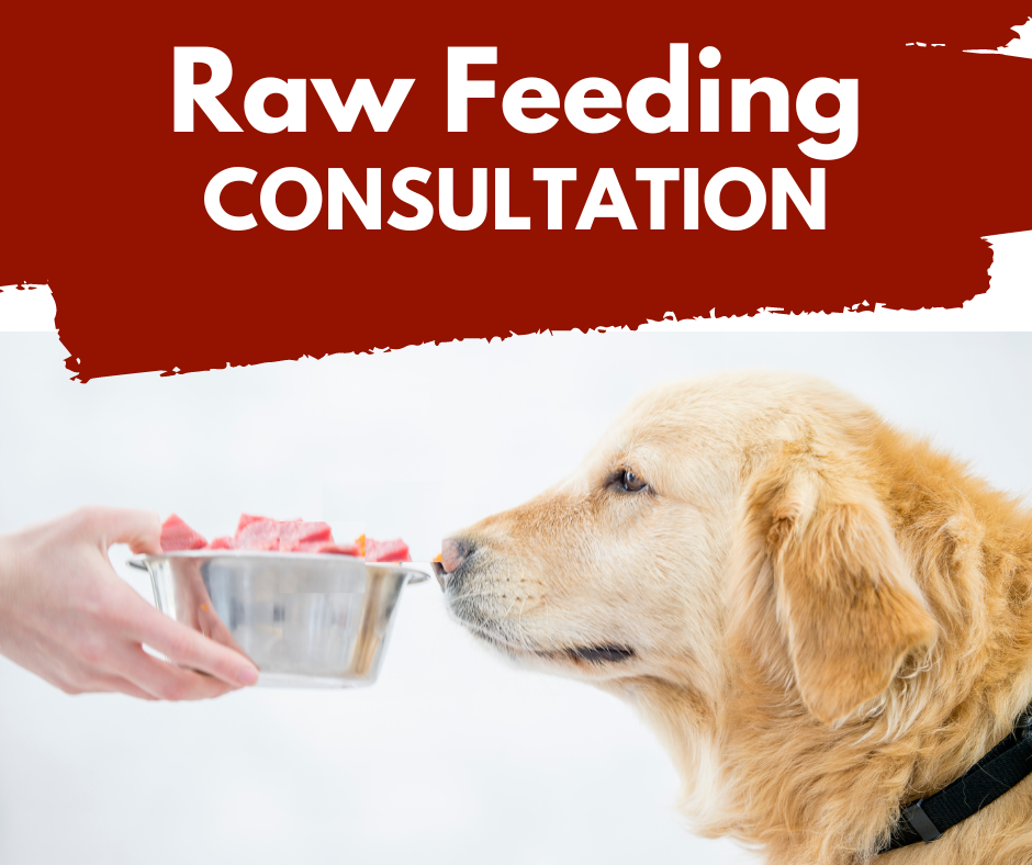 Raw-Feeding Consultation – My Pet Carnivore