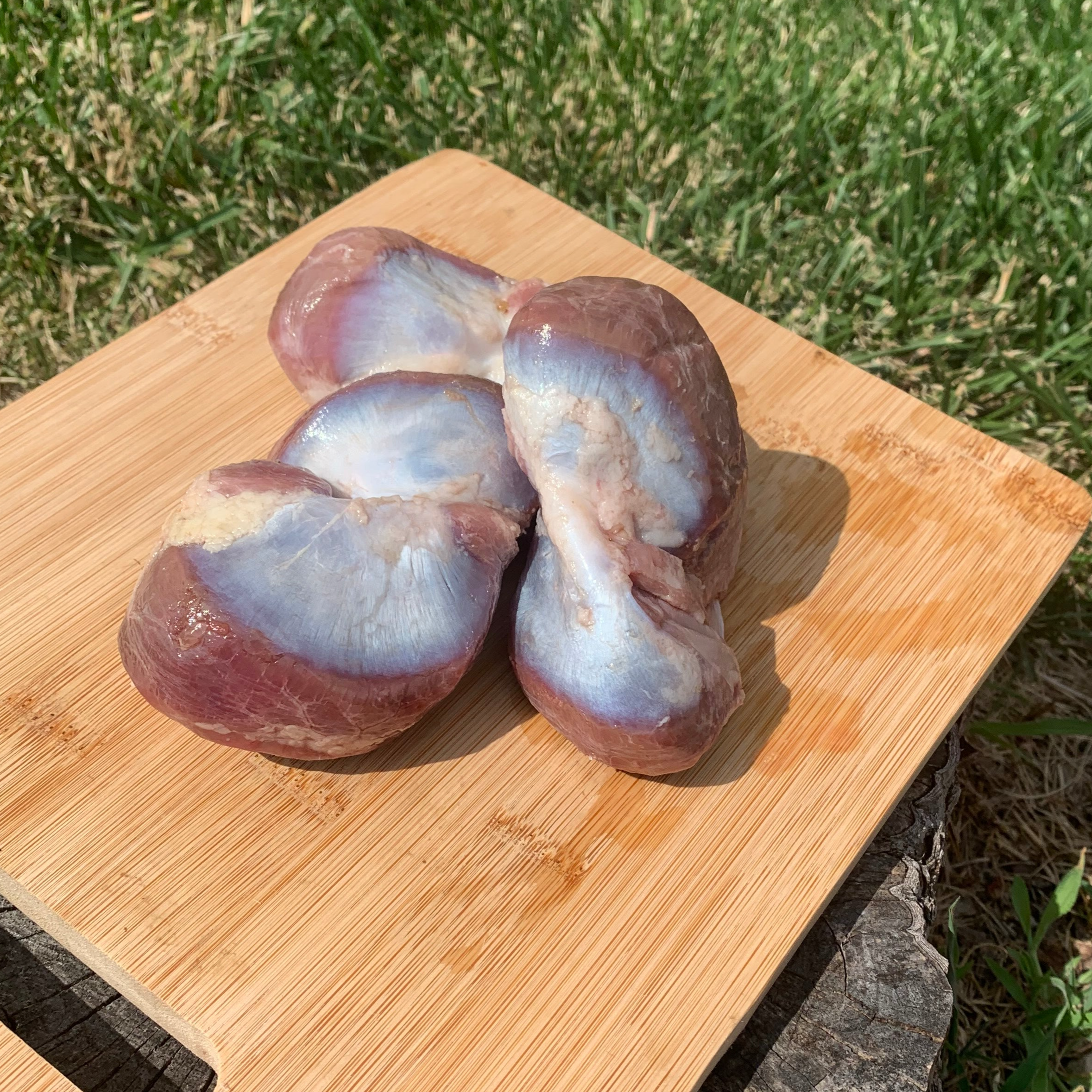 Turkey Gizzards for Dogs & Cats – Raw Muscle Meat-3 LB – My Pet Carnivore