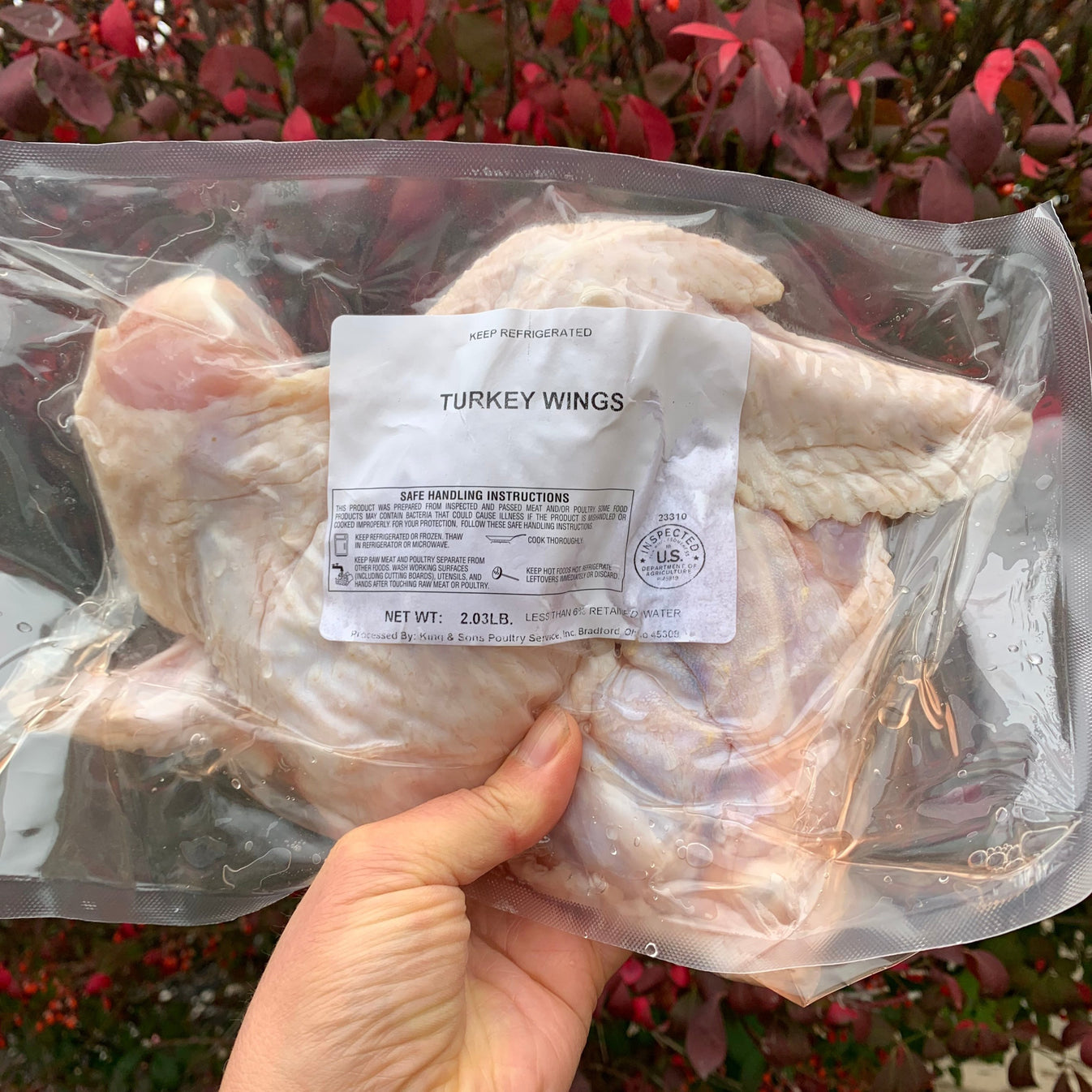 Whole Turkey Wings - 2 pk – My Pet Carnivore