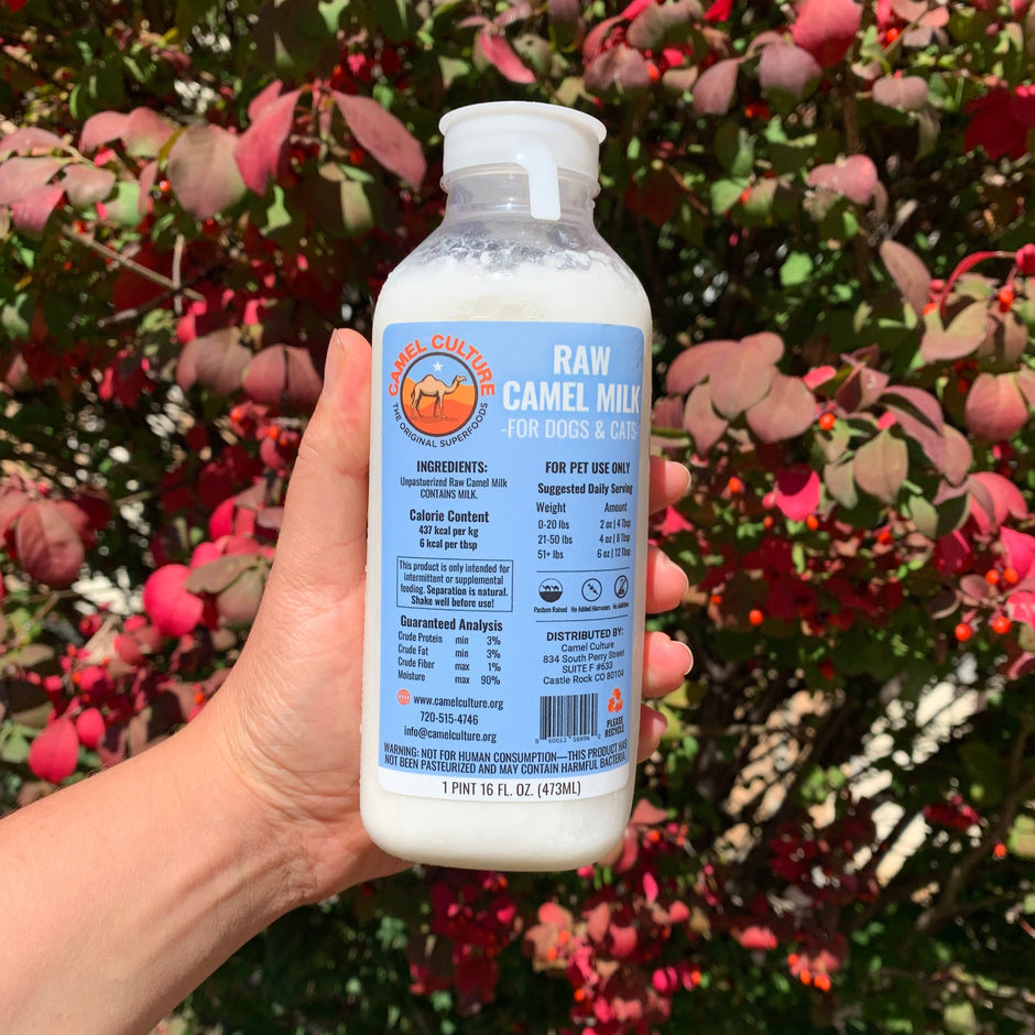 Raw Milk – My Pet Carnivore