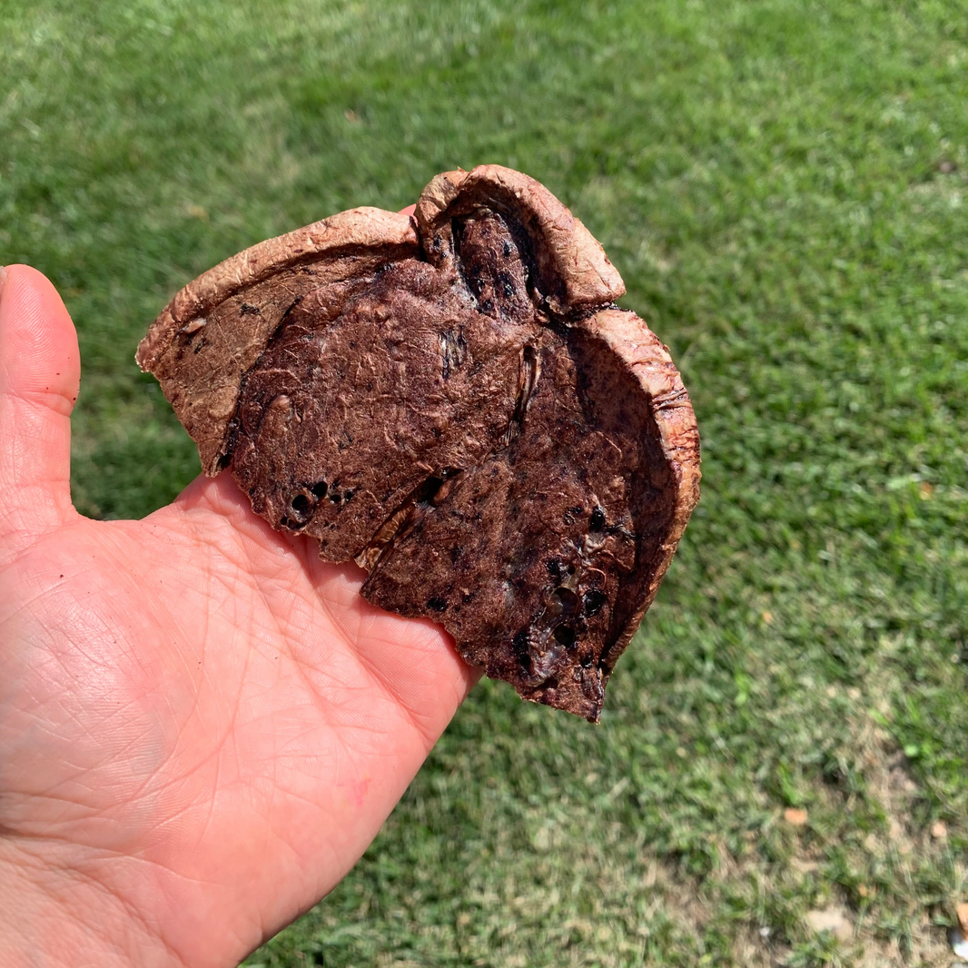 Whole-Prey Raw Goat & Lamb – My Pet Carnivore
