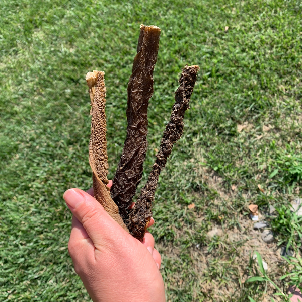 Dehydrated Lamb Tripe Strips - 3 oz – My Pet Carnivore