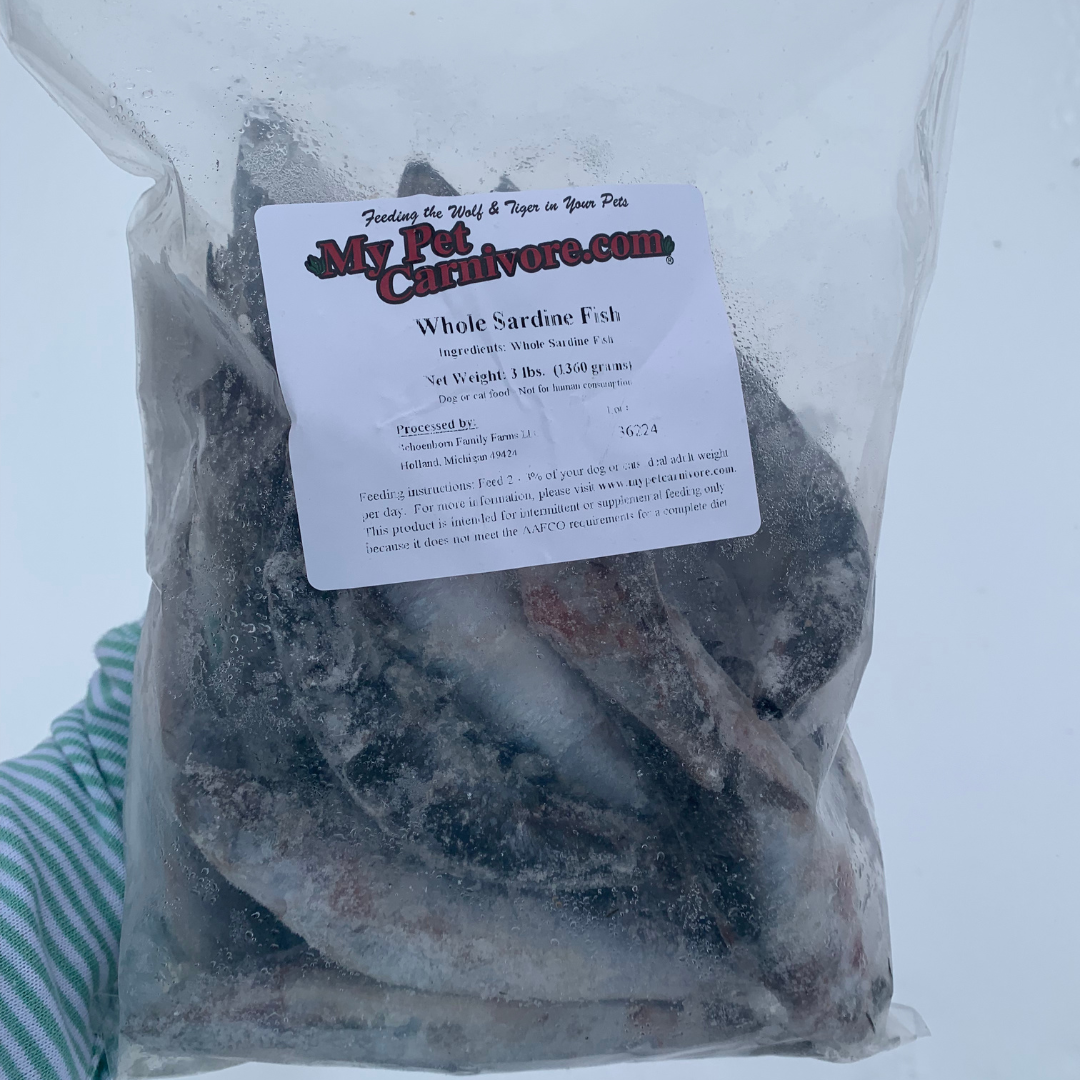 Whole Sardines Fish-3 LB. – My Pet Carnivore