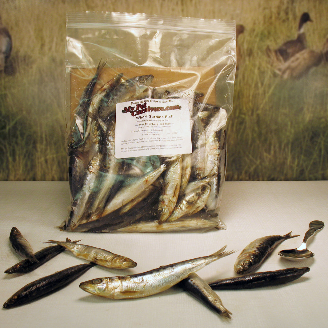 Whole-Prey Raw Fish for Pets – My Pet Carnivore
